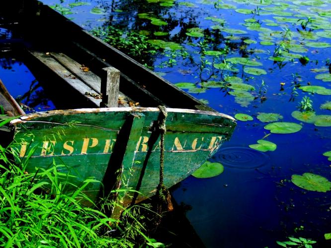 albertoknox - albertoknox : CmonBook